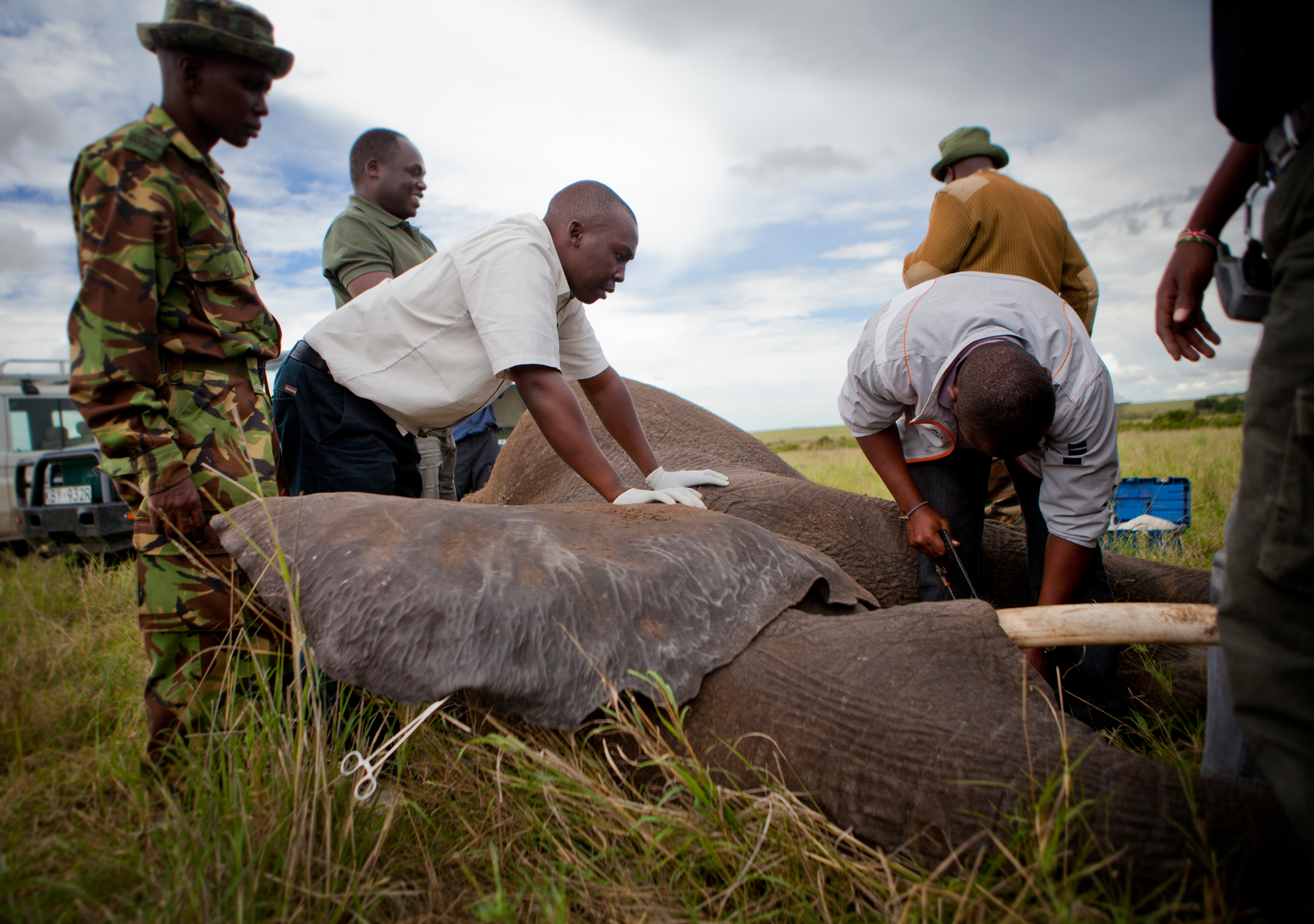 Preventing human-wildlife conflict | WWF