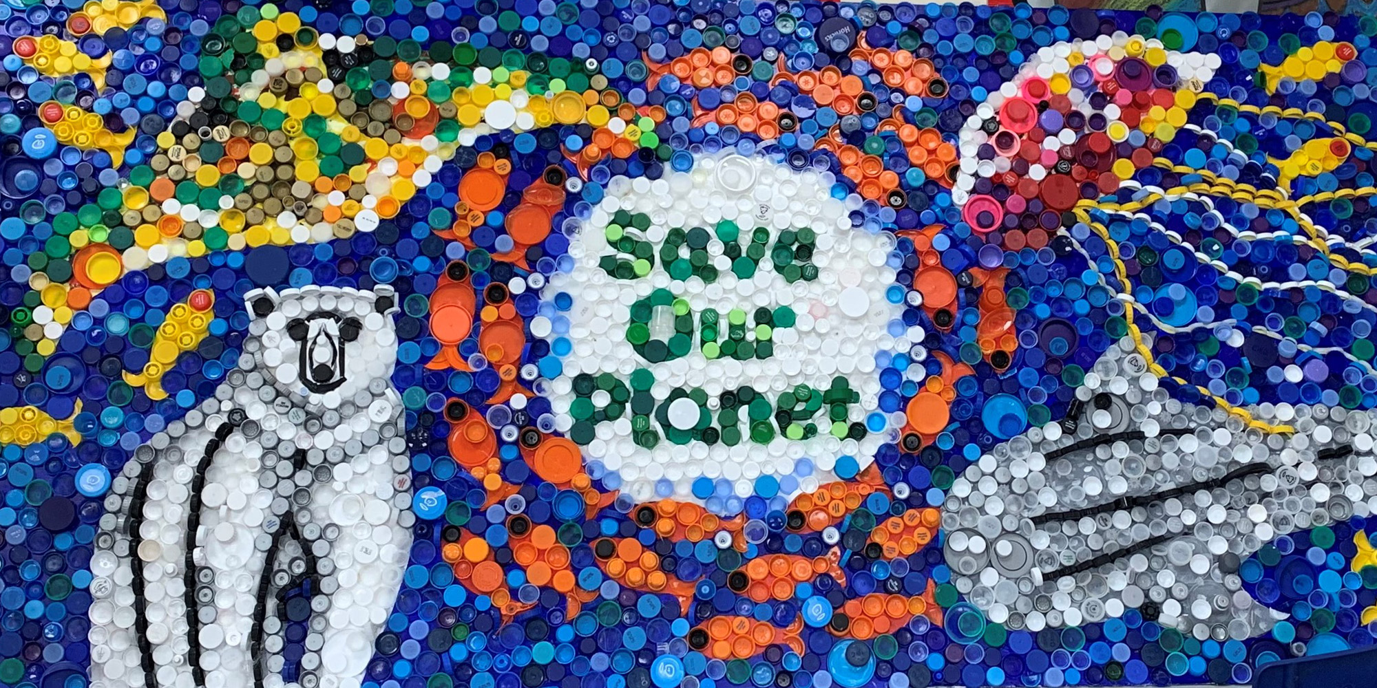 Woodfield_Primary_School.jpg | WWF
