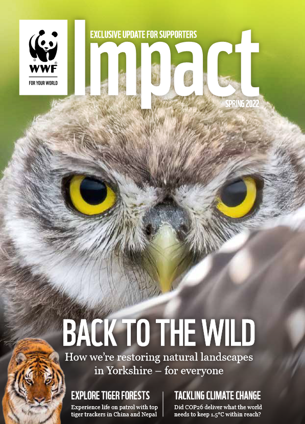 Impact Spring 2022 | WWF
