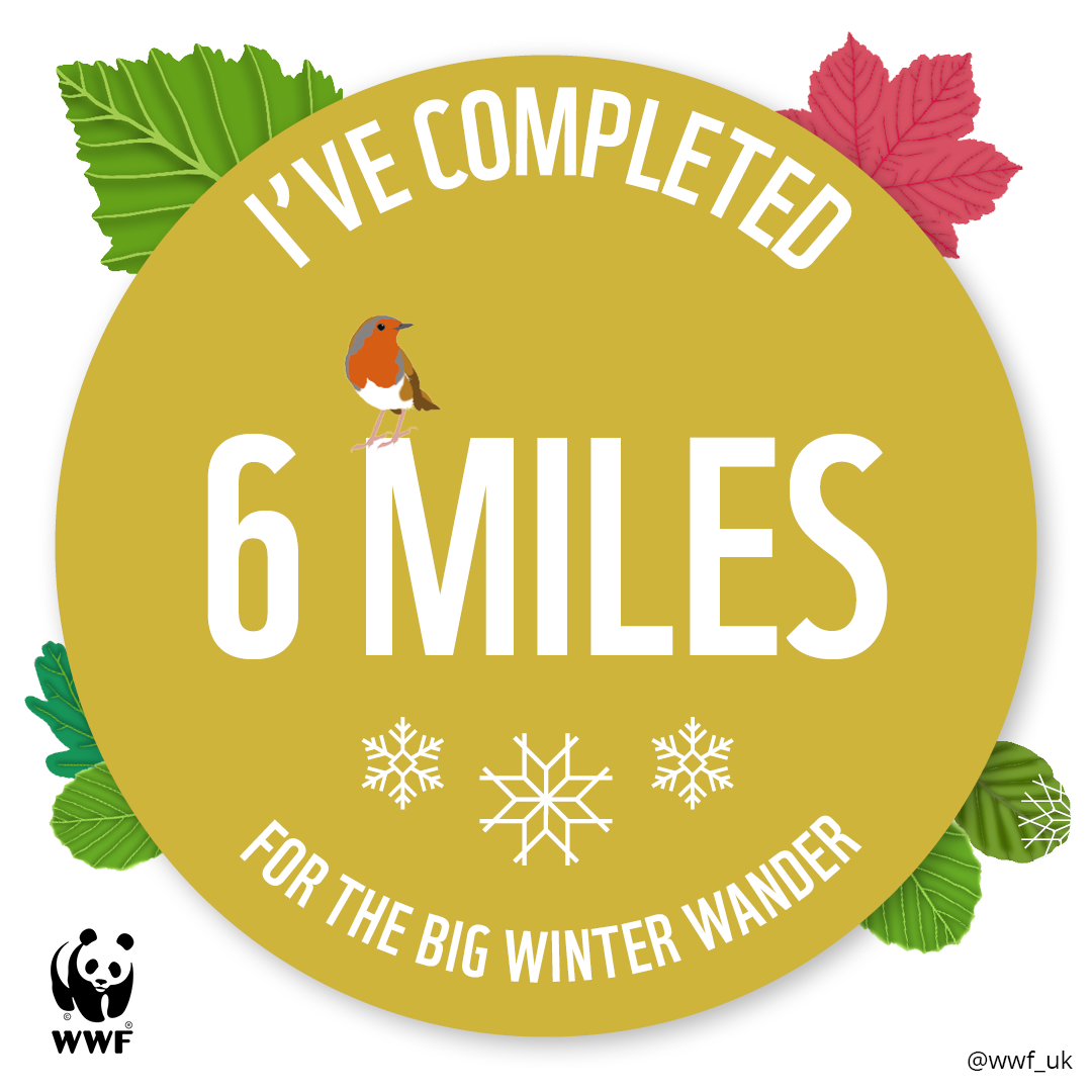 BWW_6 MILE BADGE | WWF