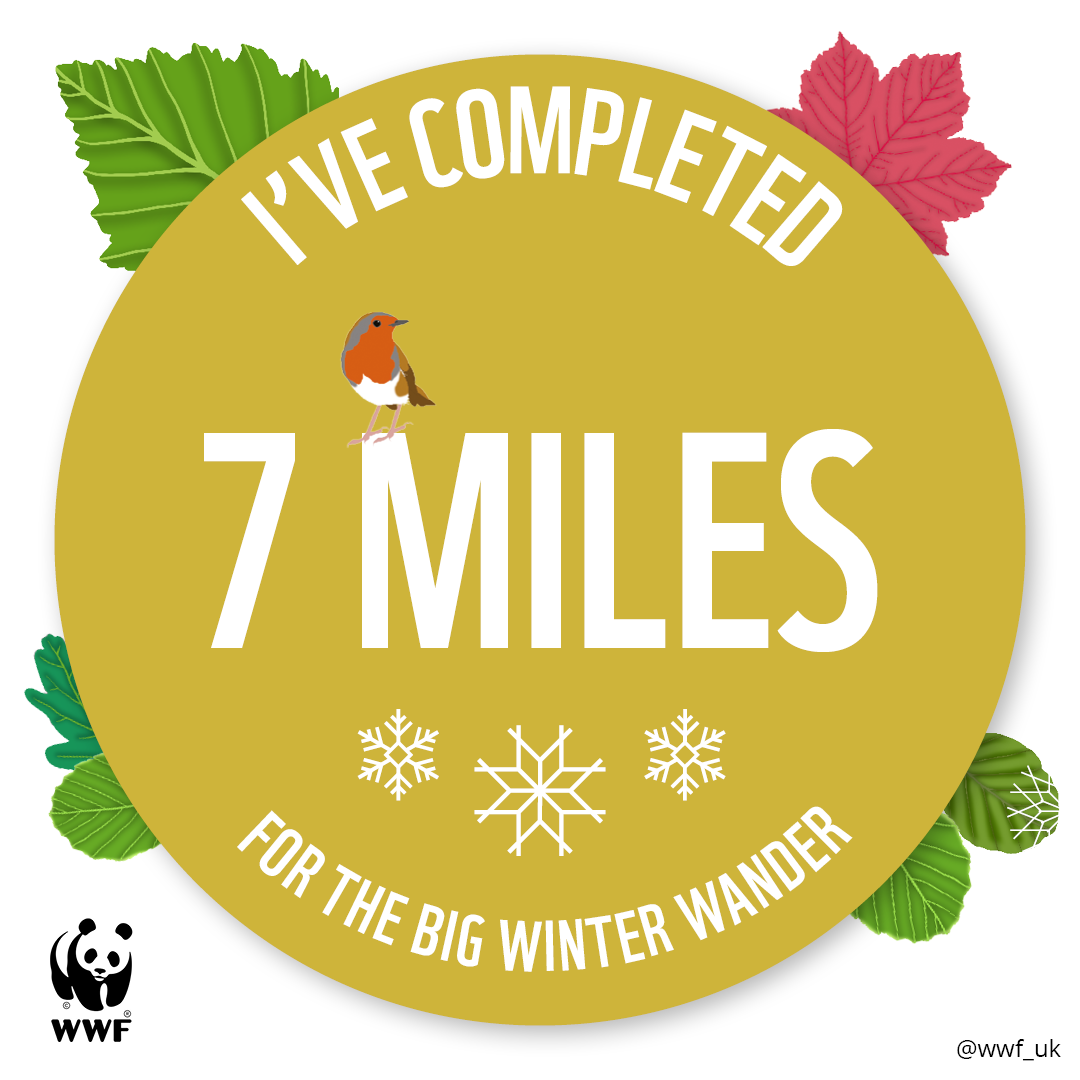 BWW_7 MILE BADGE | WWF