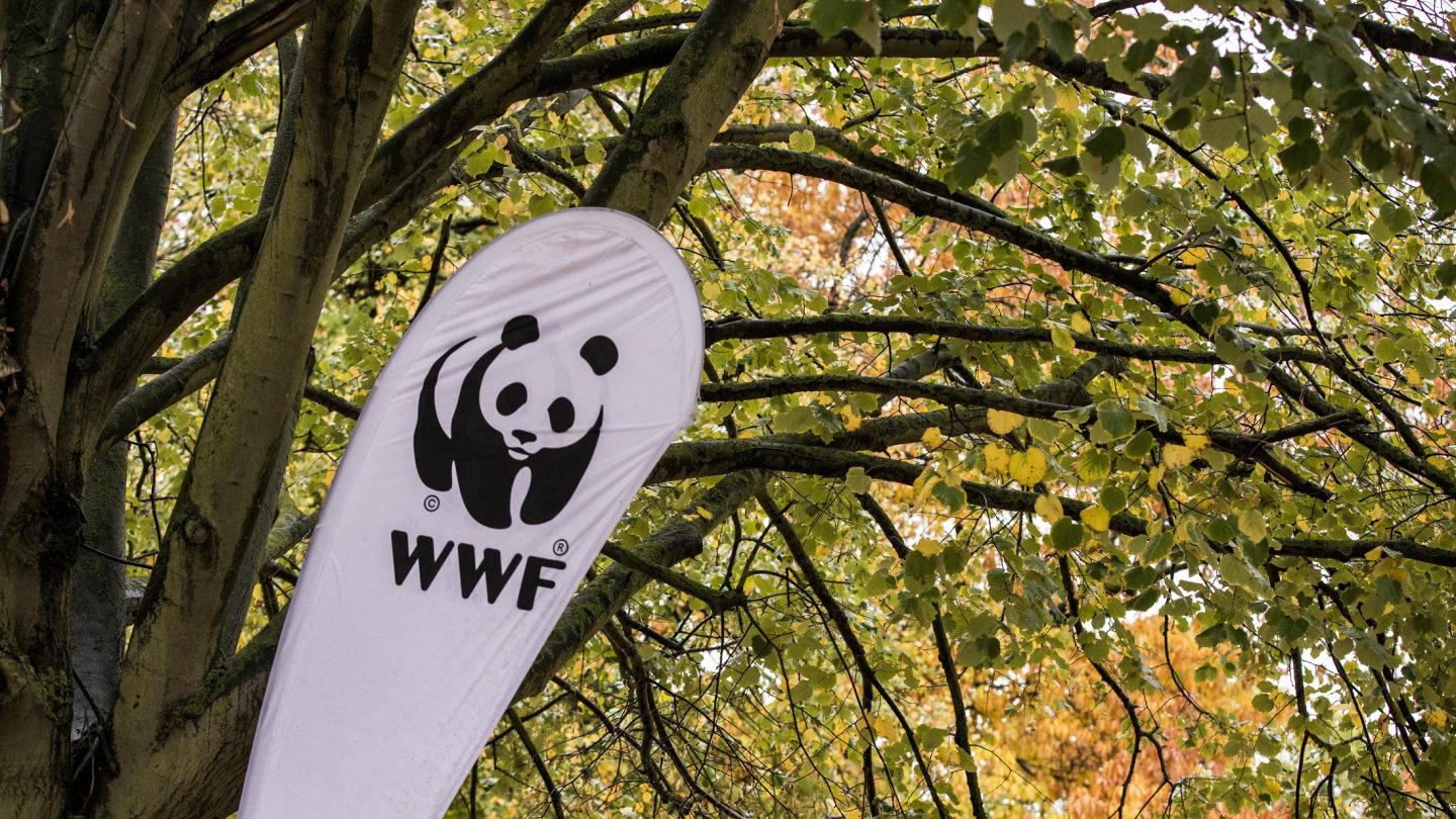 Make WWF your Charity of the Year | WWF