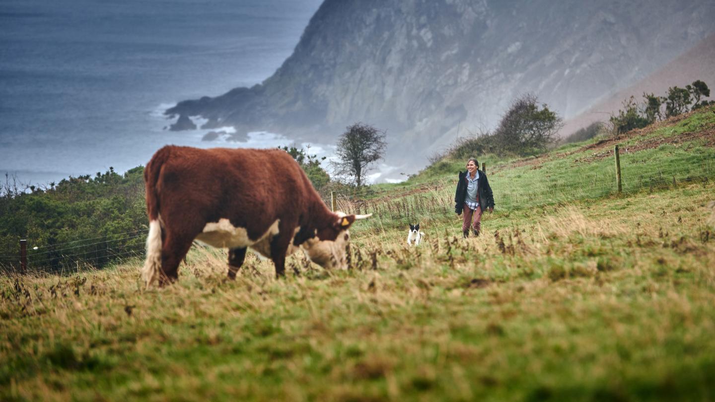 Nantclyd - Land of Our Future Stories | WWF