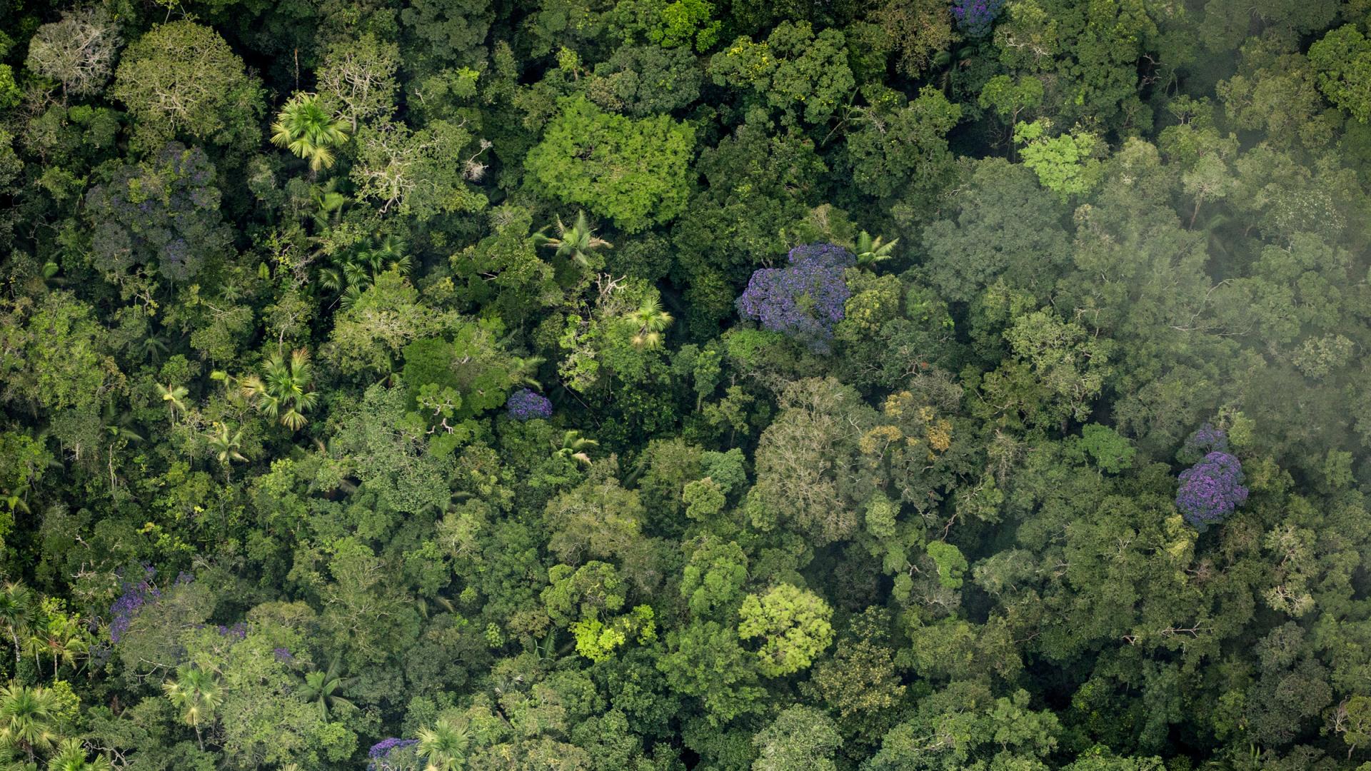 Learn about our planet's most amazing species | WWF