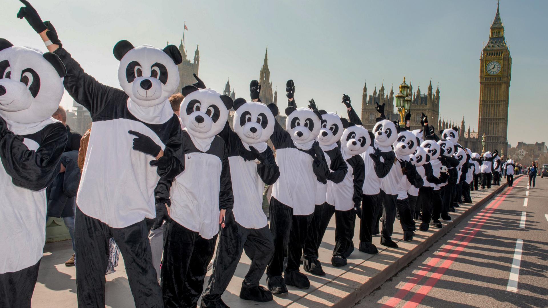 Improving employee engagement with WWF | WWF