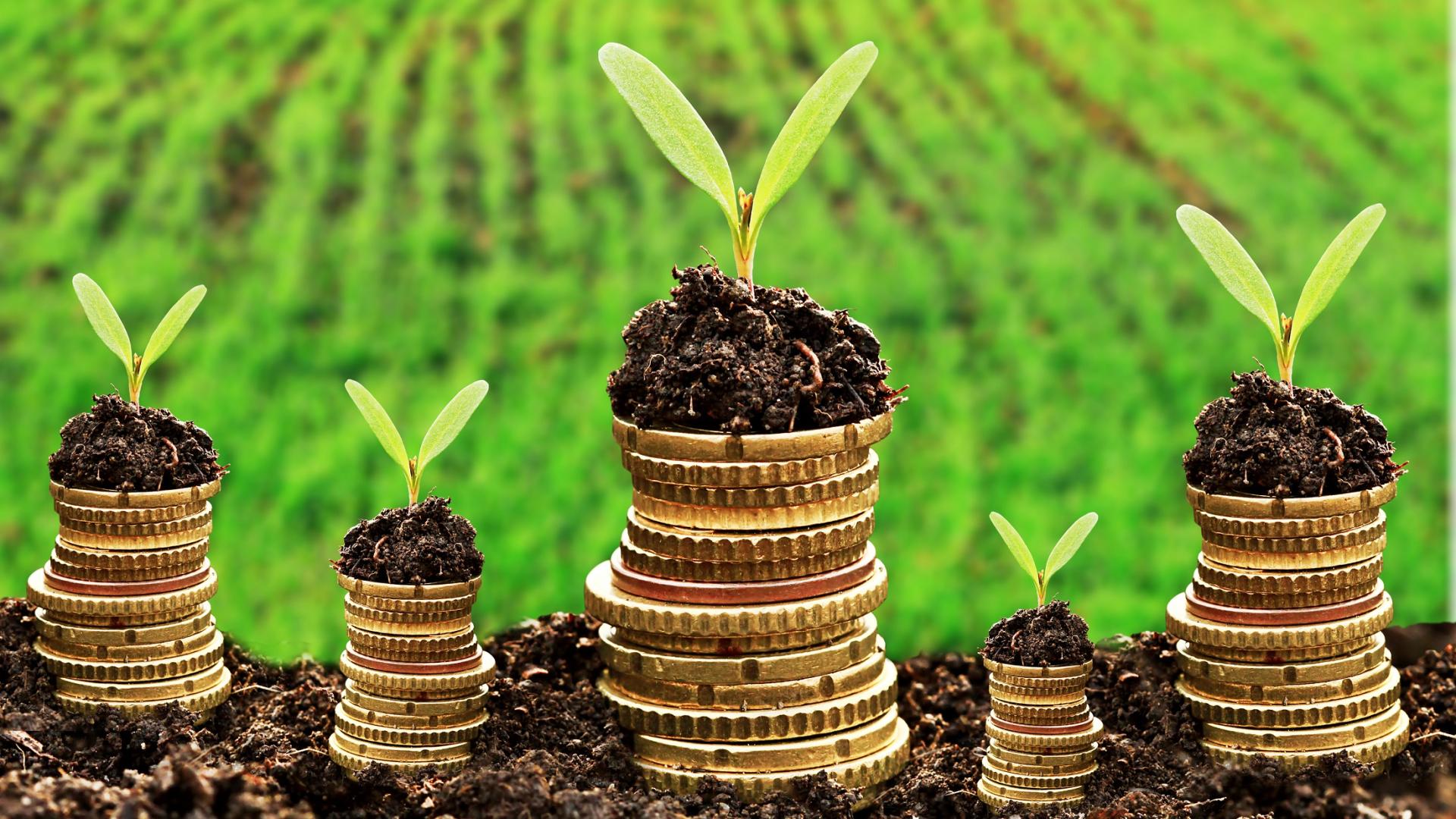 Here's how to donate through your business | WWF