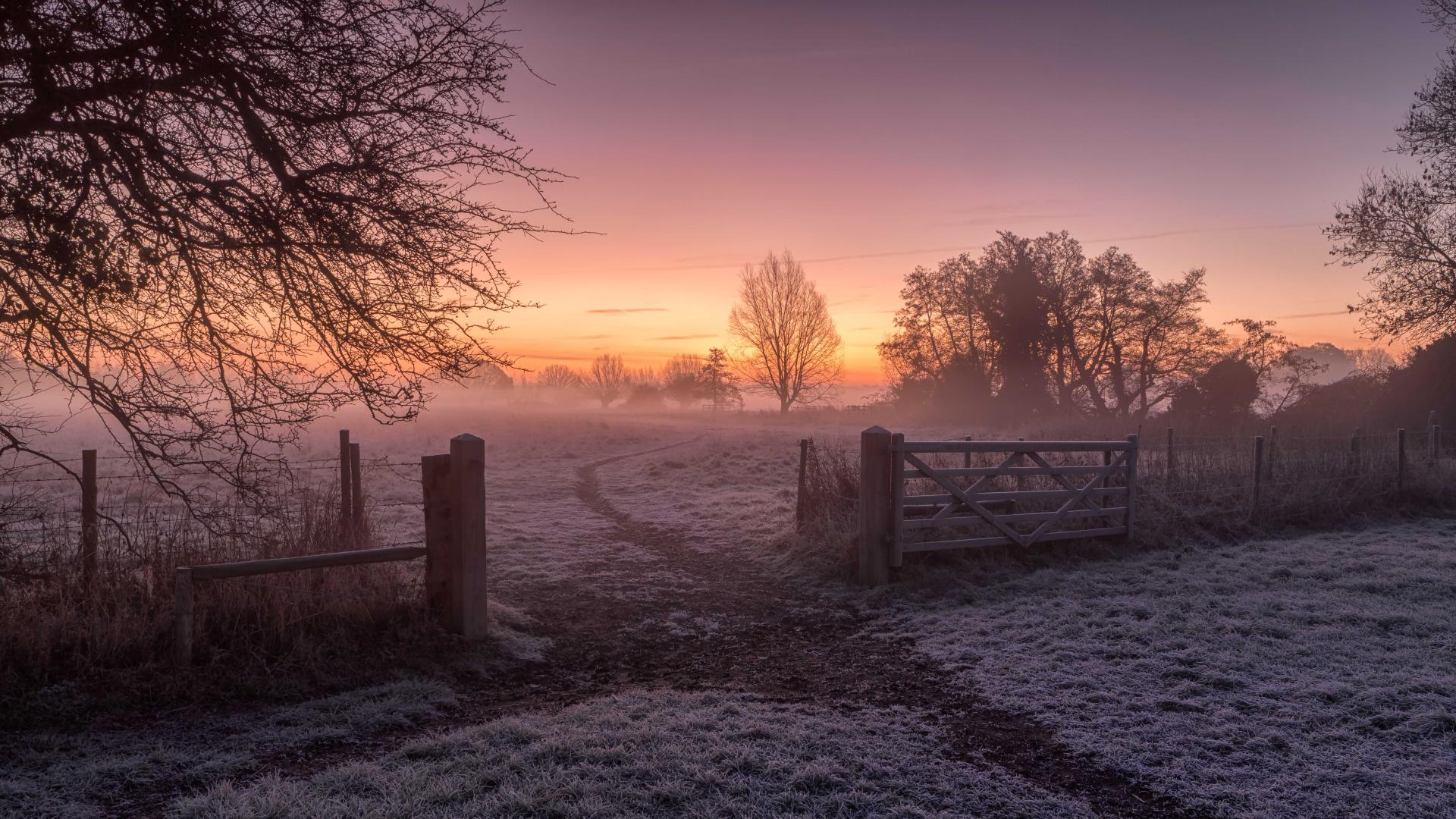 UK Nature through the seasons | WWF