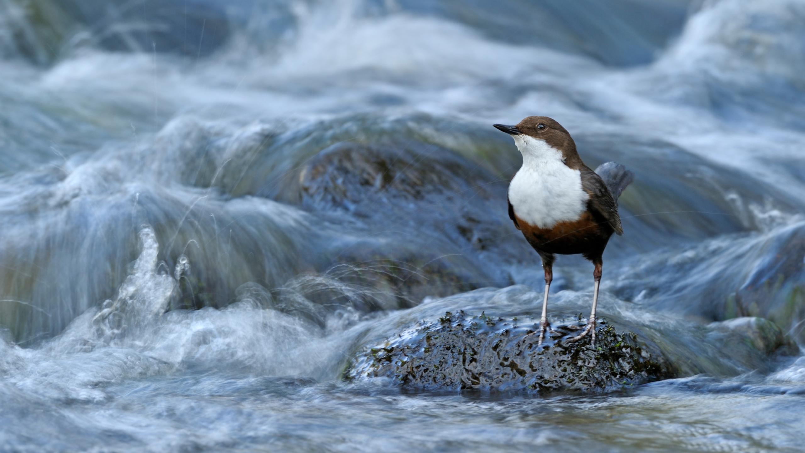 Why it's important that we value nature | WWF