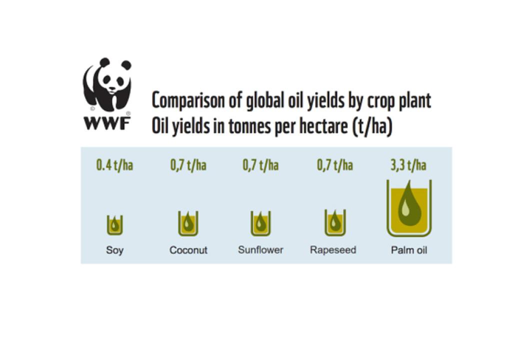 8 things to know about palm oil | WWF