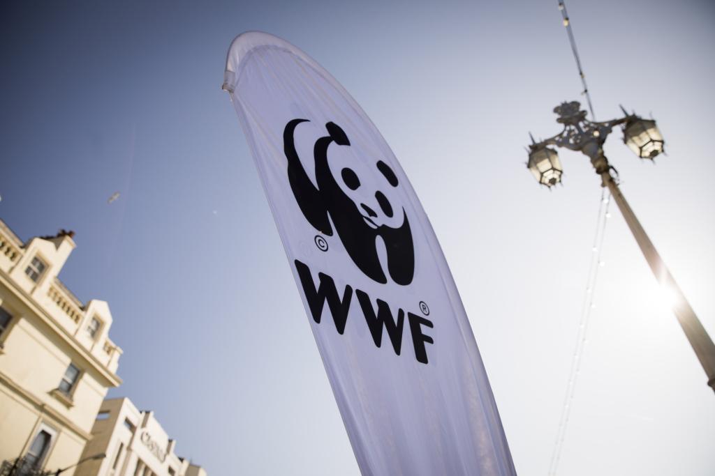 Our challenge events: join the race to save our world | WWF