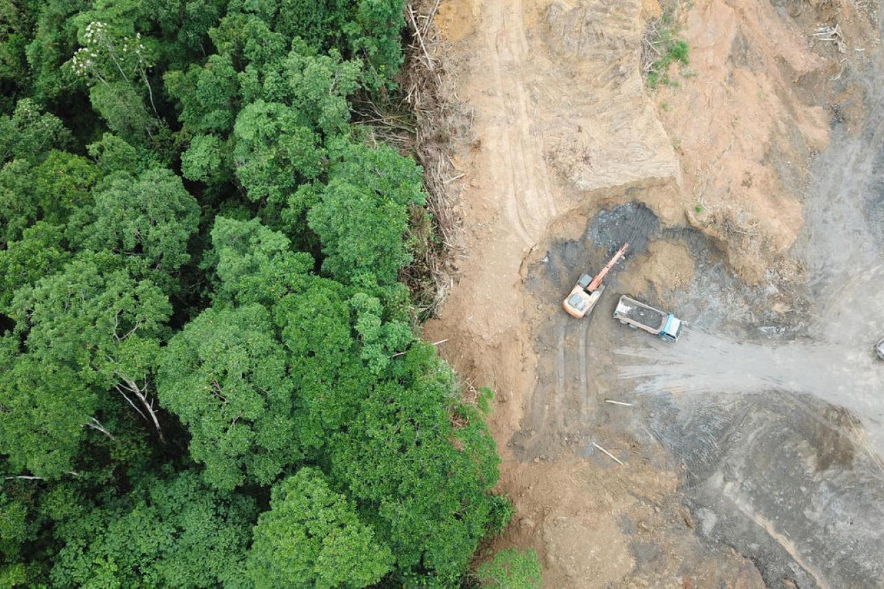 Environmental Crimes Financial Toolkit | WWF
