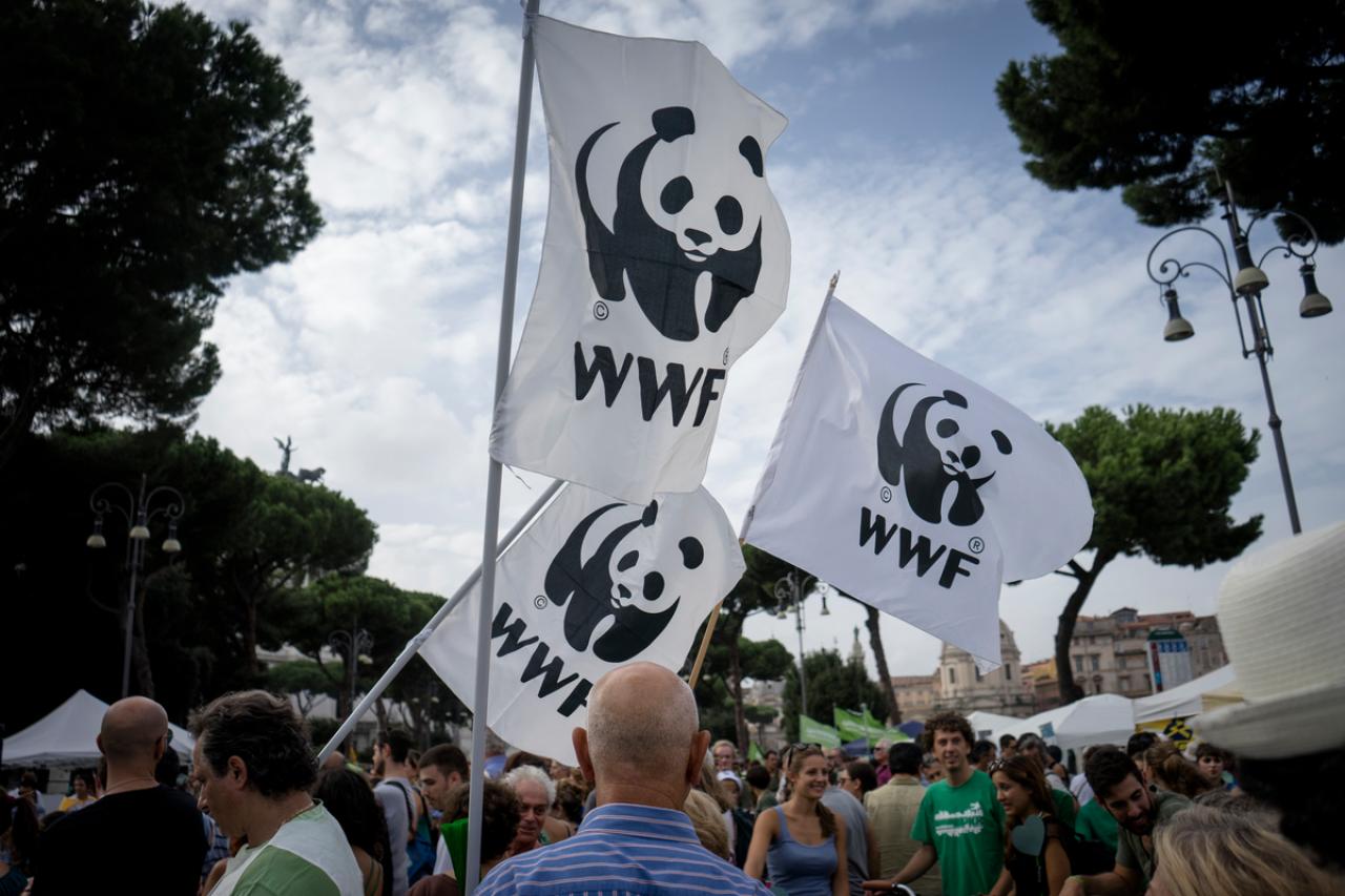 How we can fight climate change | WWF