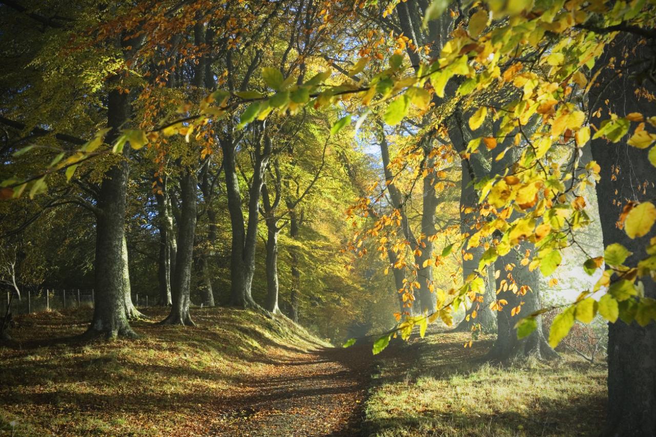 How we can fight climate change | WWF