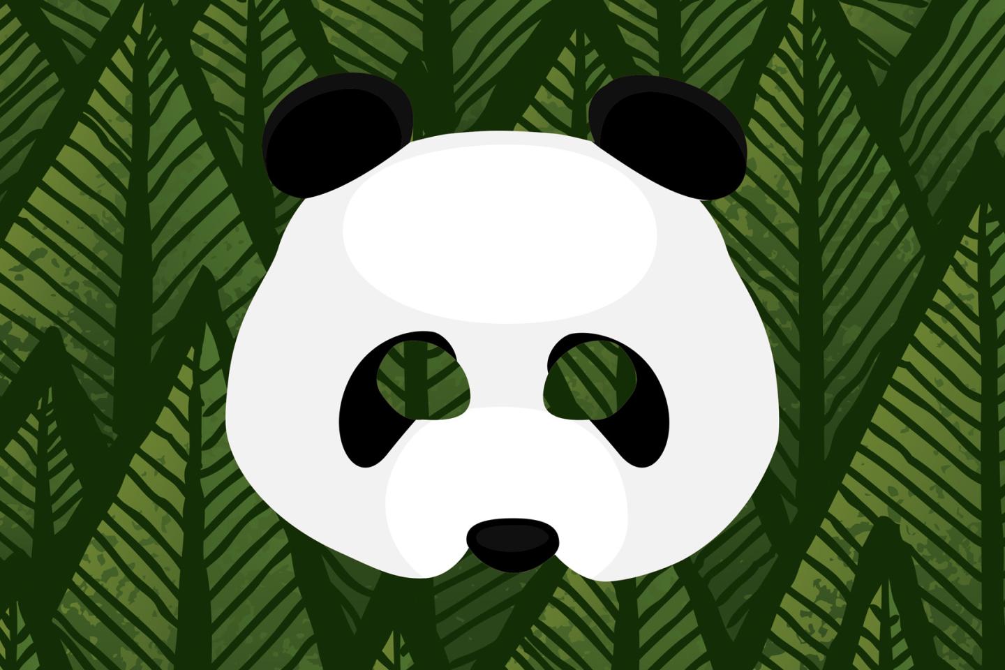 National Panda Day 2026 | WWF