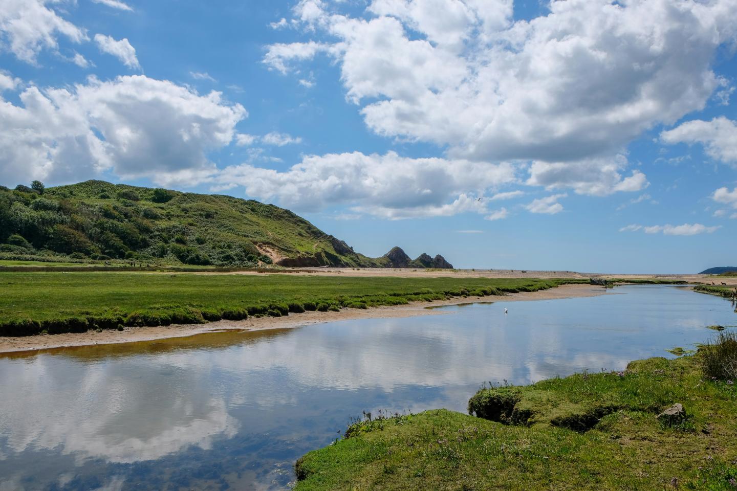 Gower Peninsula Challenge | WWF
