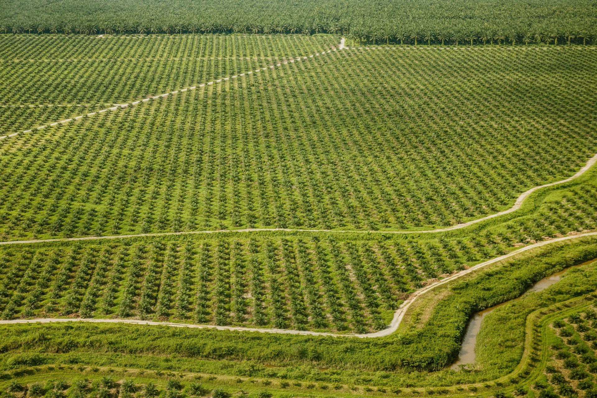 Eight tips to eat more sustainably | WWF