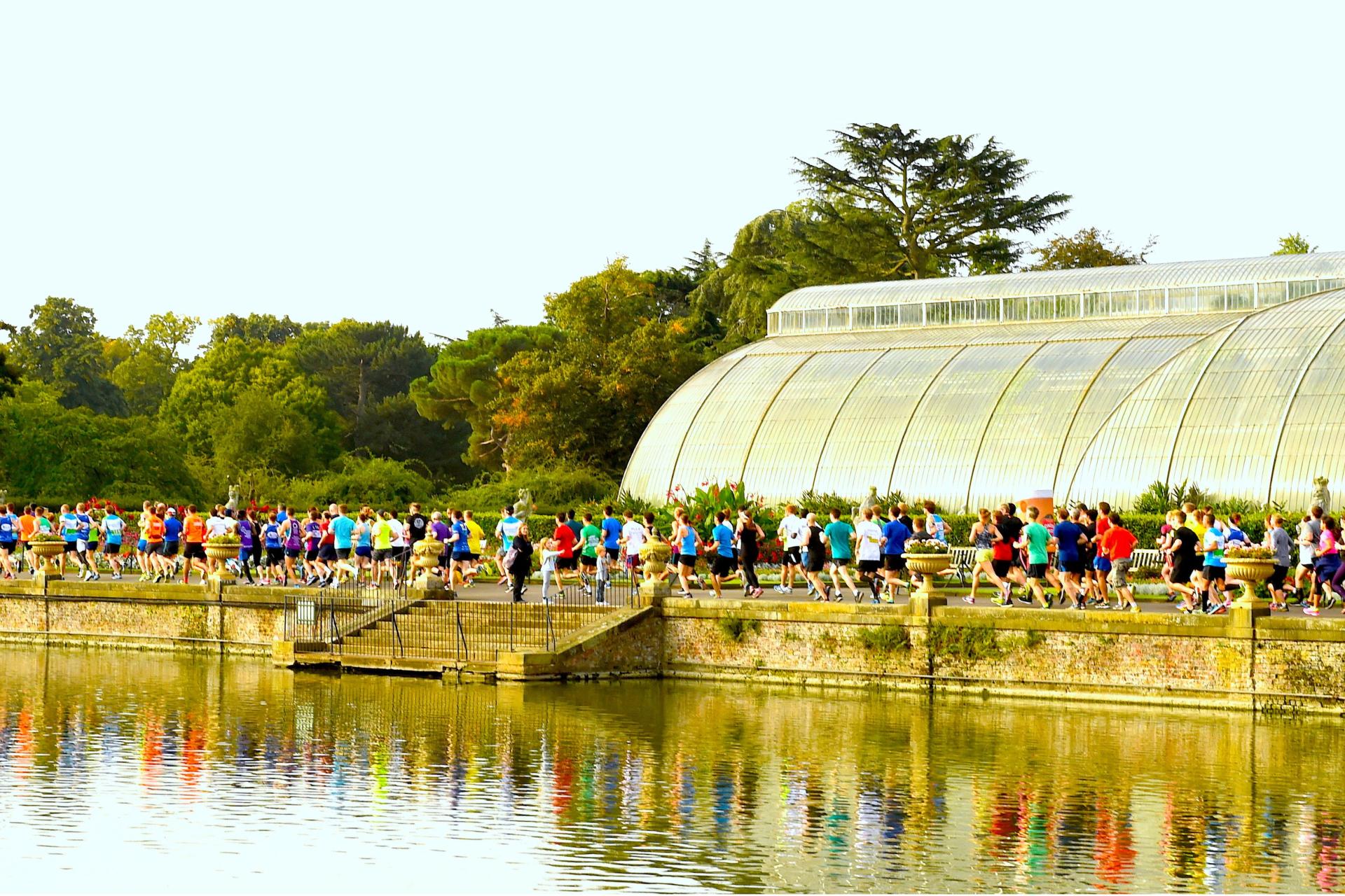Richmond Runfest 2026 | WWF