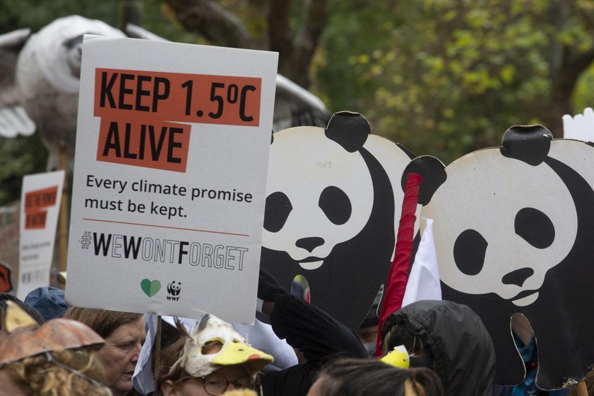 A guide to COP | WWF