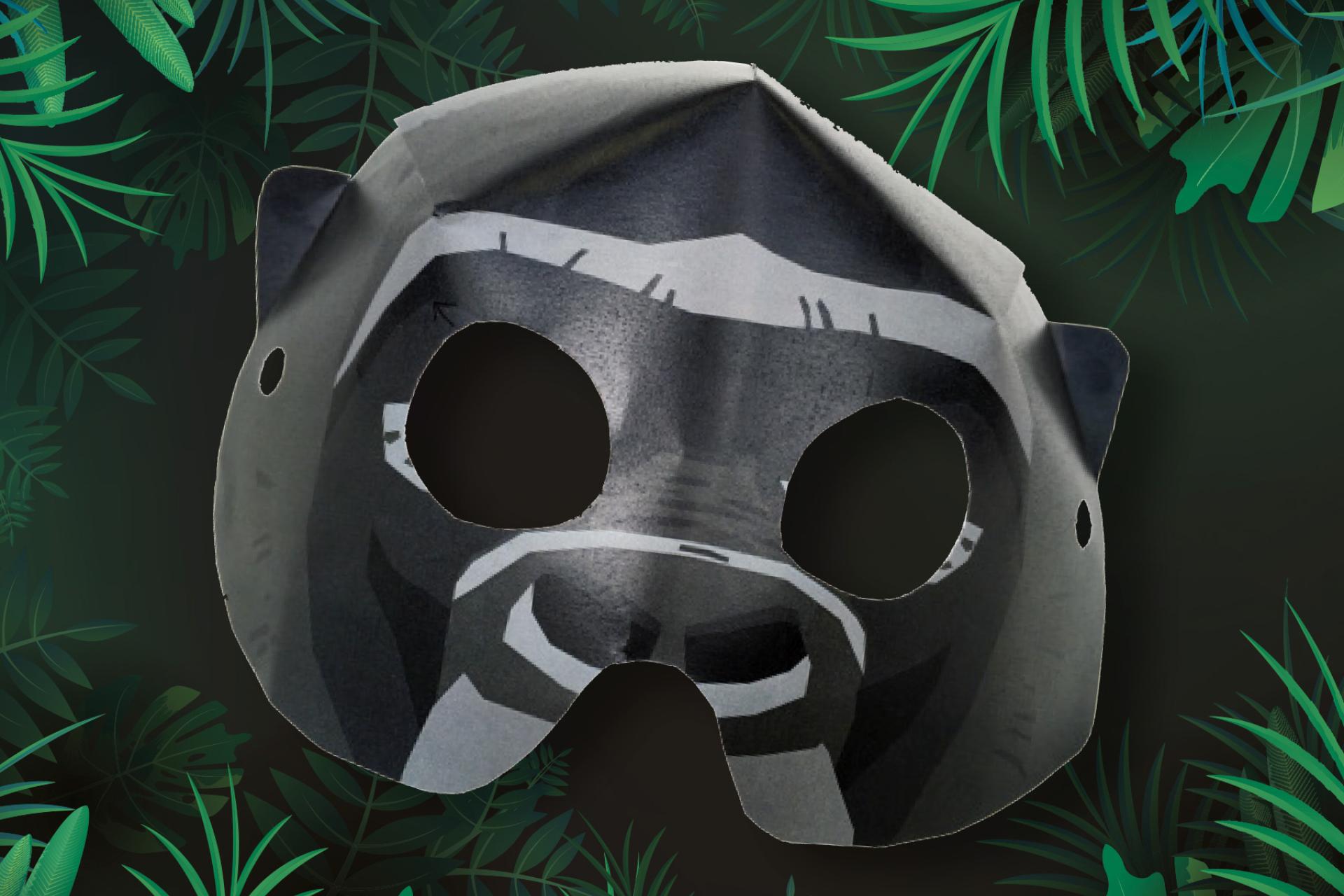 World Gorilla Day 2026 | WWF