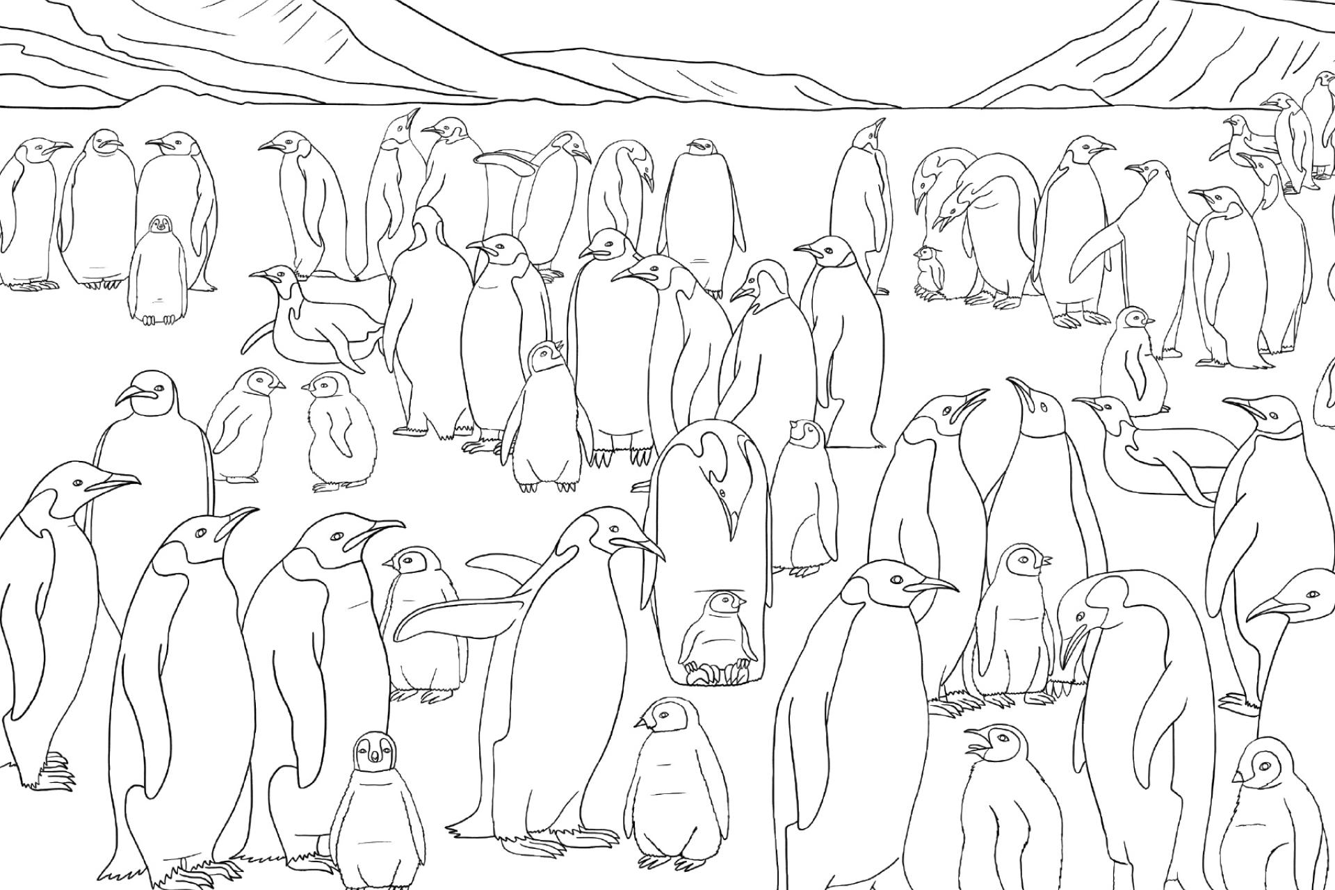 Penguin Awareness Day 2026 | WWF