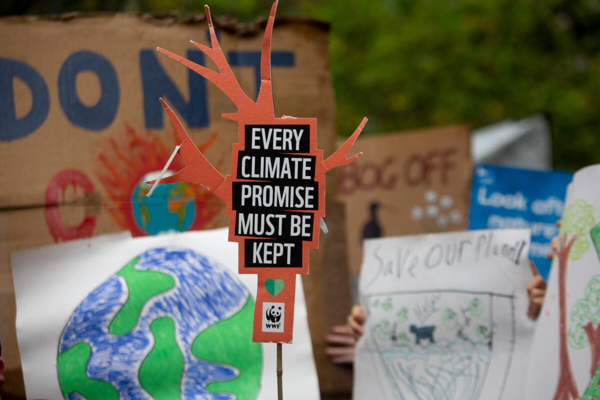 WWF's latest annual report | WWF