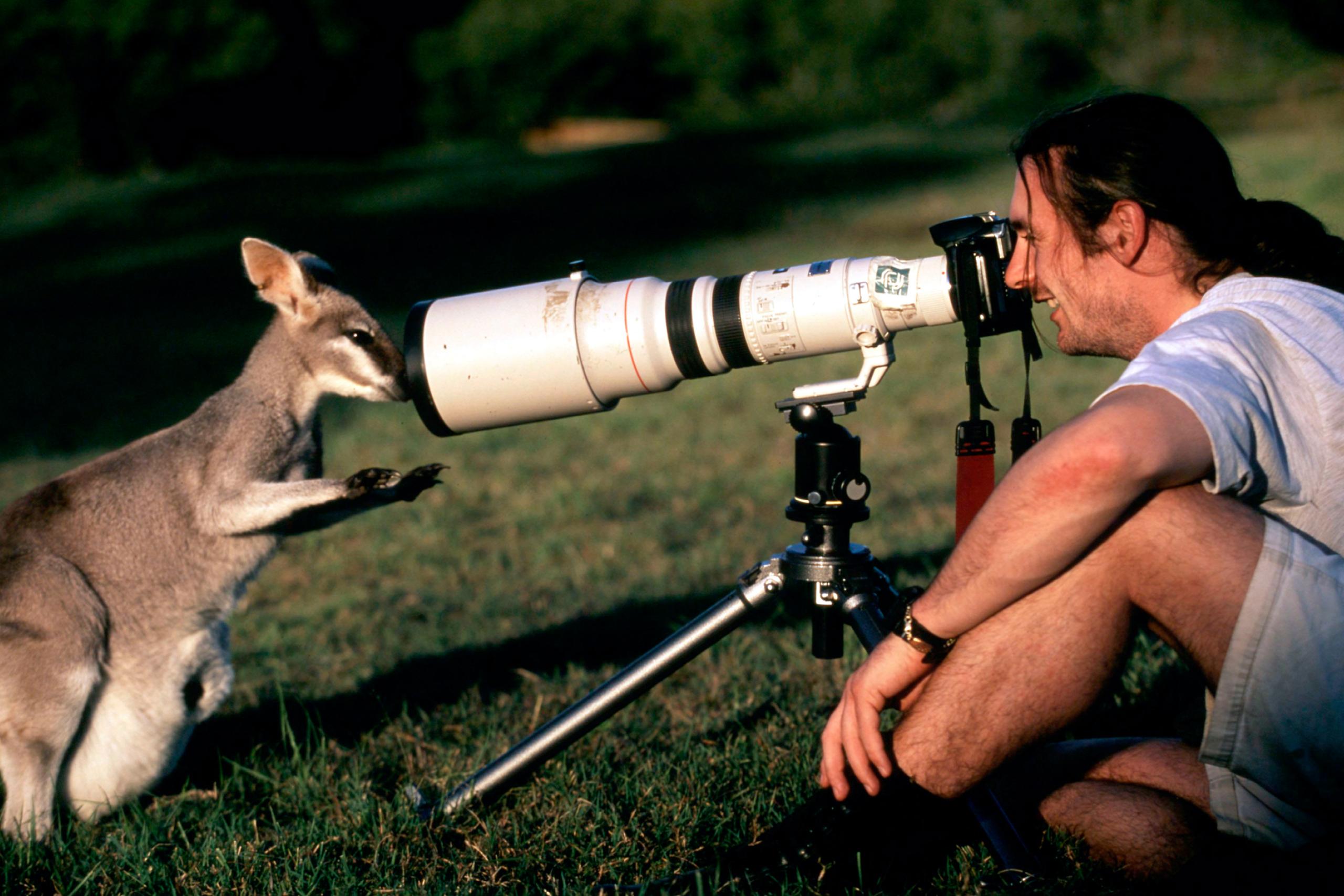 Top ten outdoor photography tips | WWF