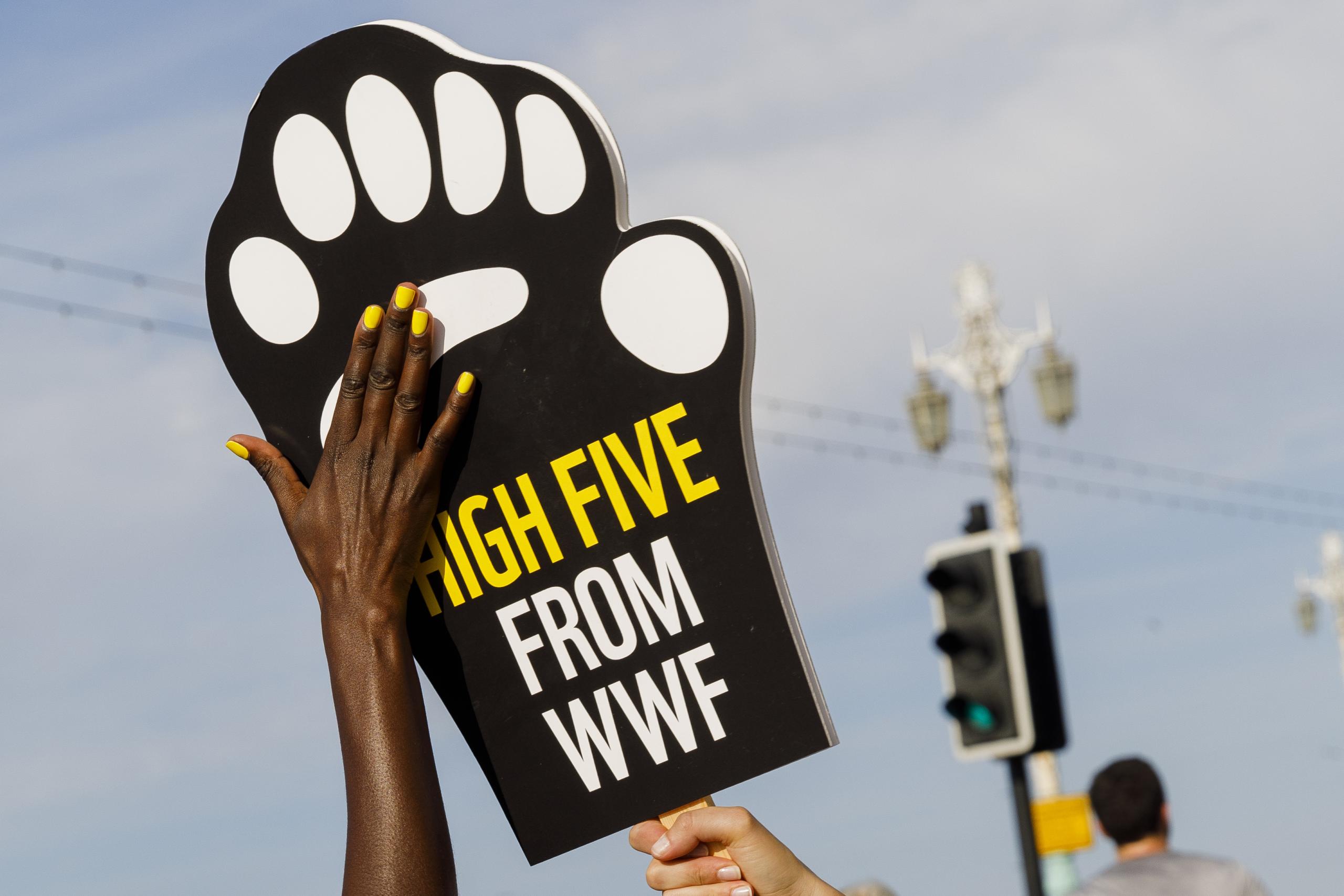Paris Marathon | WWF