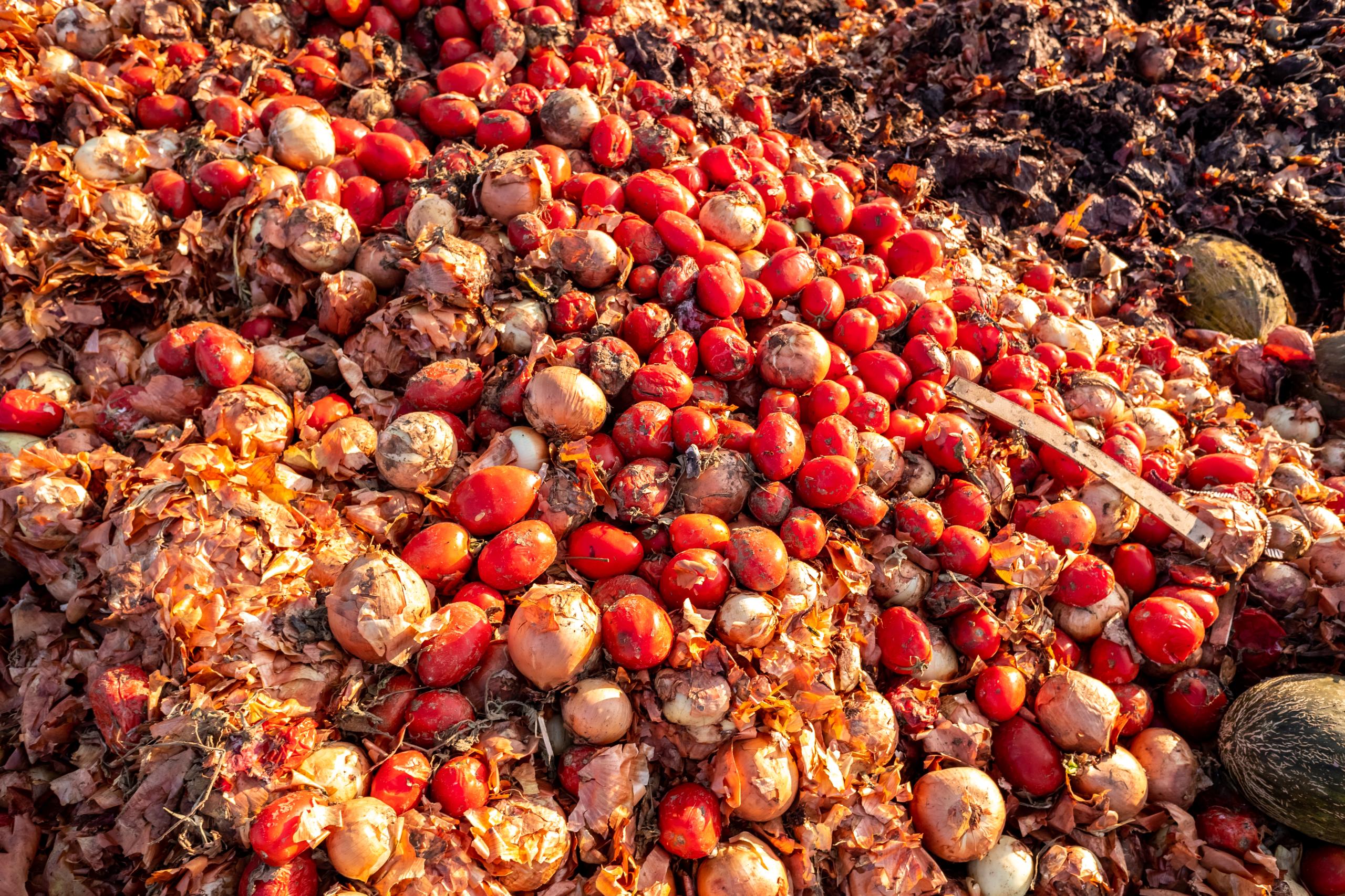 Food waste on farms | WWF