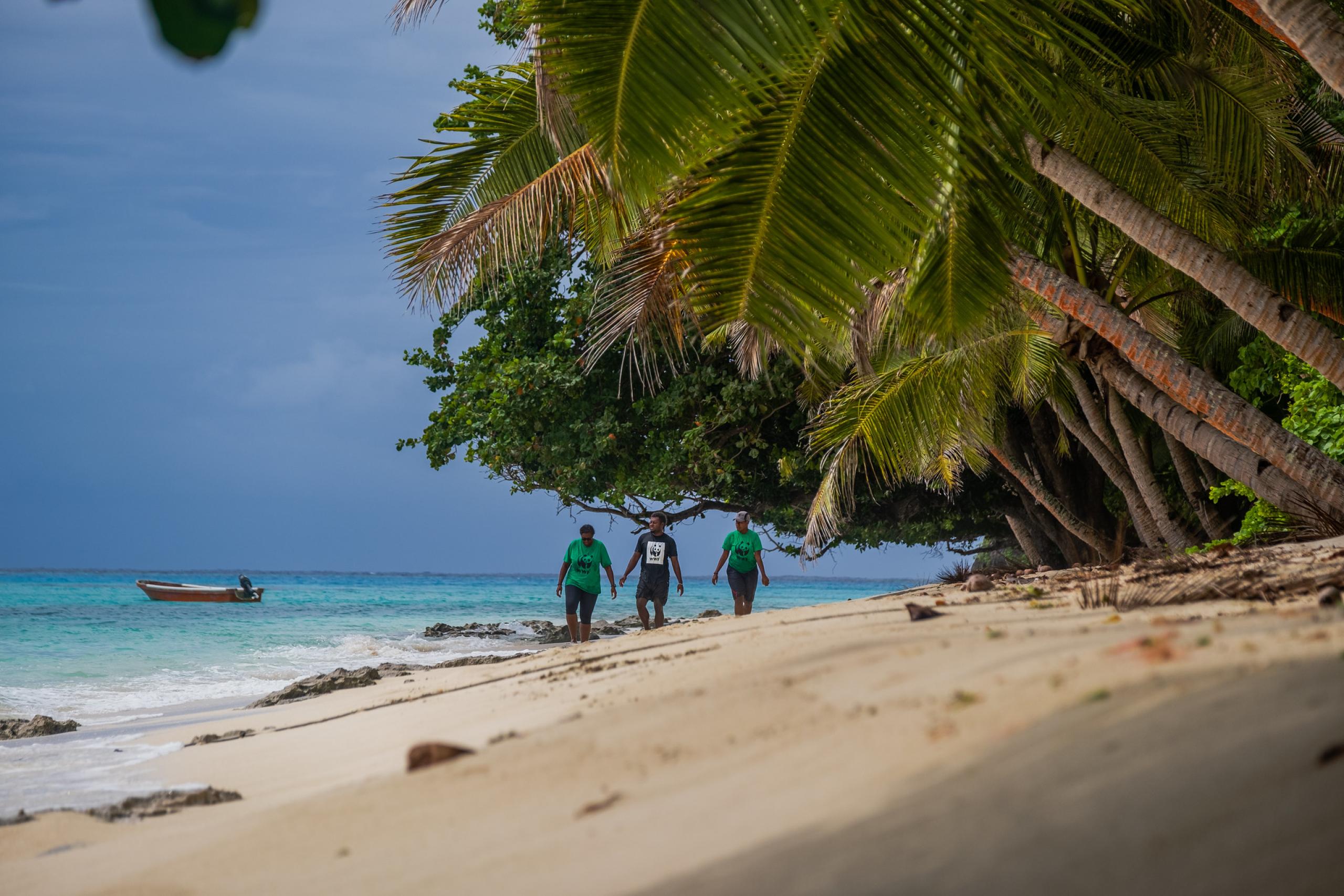 Where we work: the island nation Fiji | WWF