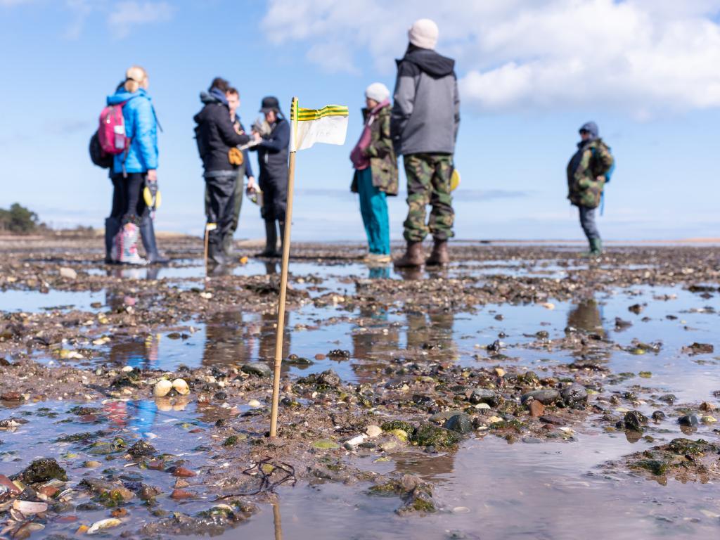 Restoration Forth: Our Story | WWF