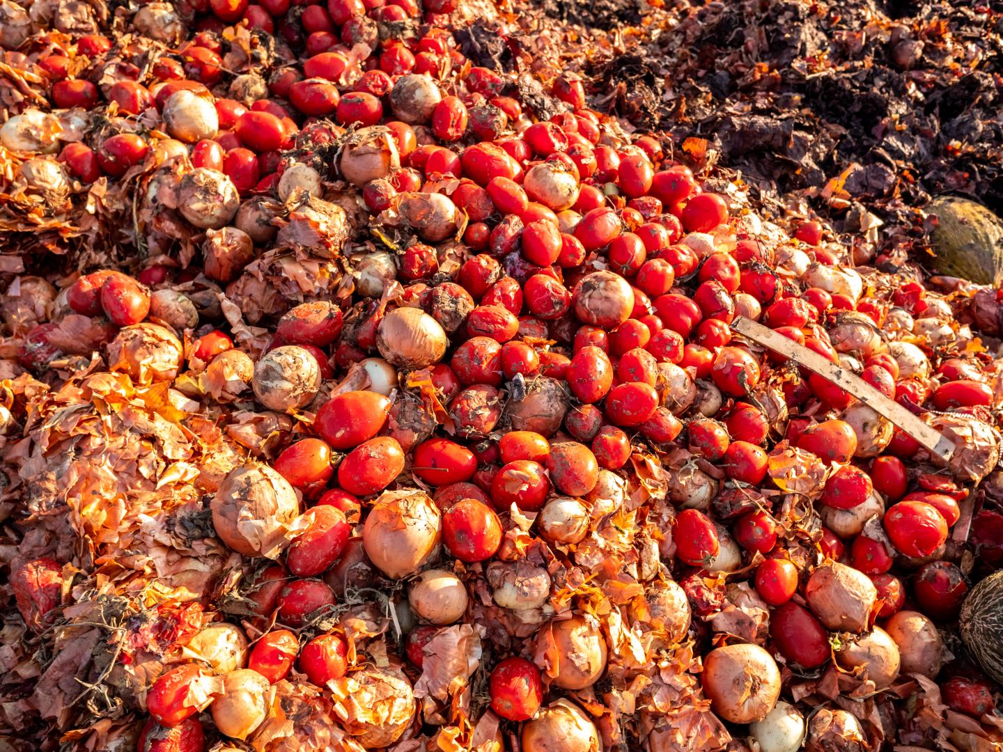 Food waste on farms | WWF