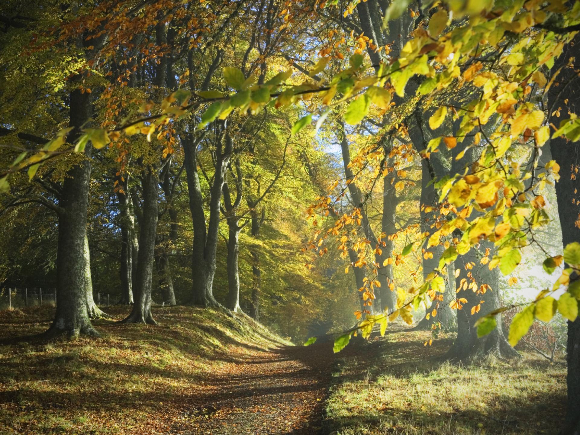 5 ways to help our wellbeing with nature | WWF