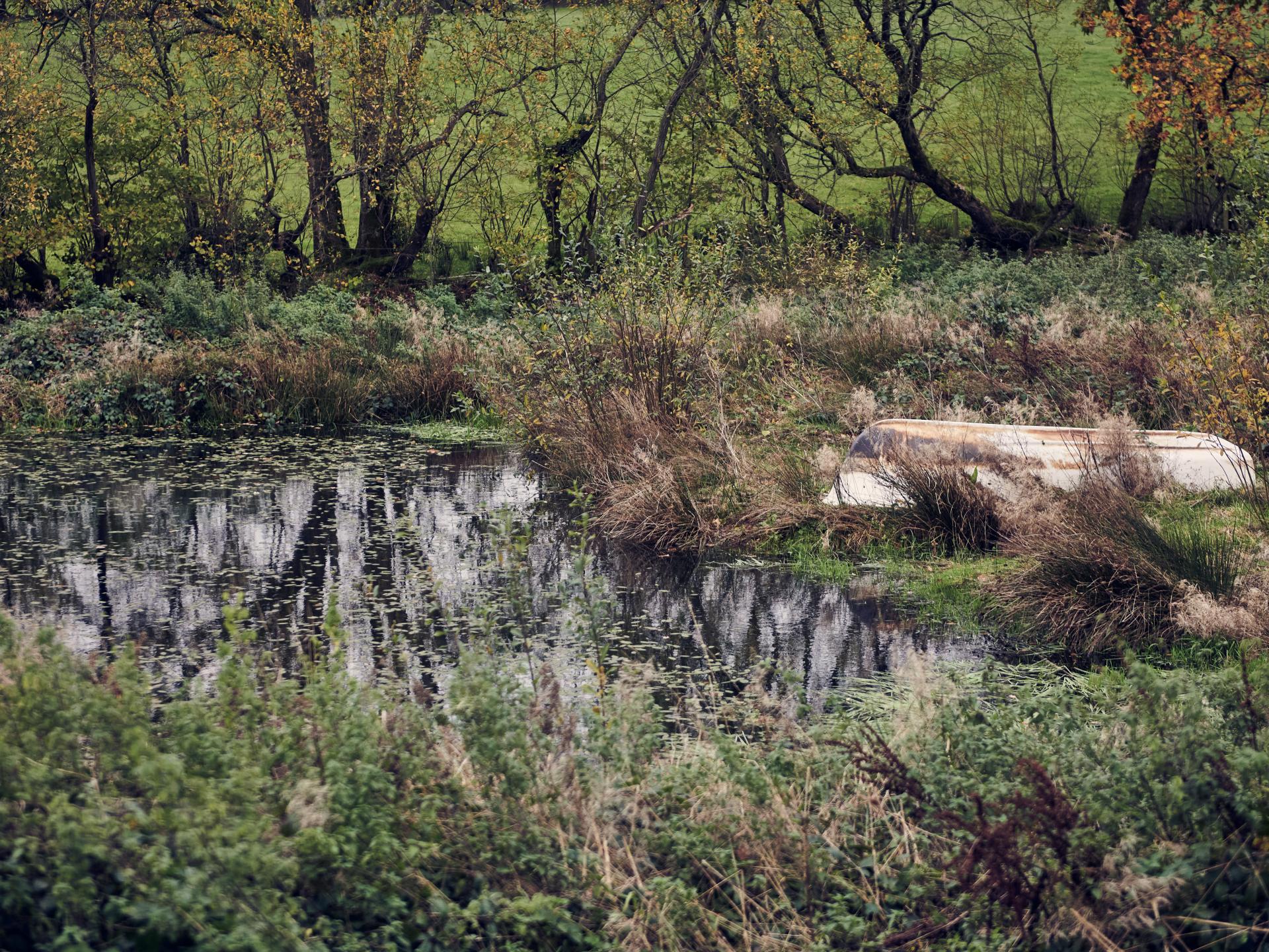 Nantclyd - Land of Our Future Stories | WWF