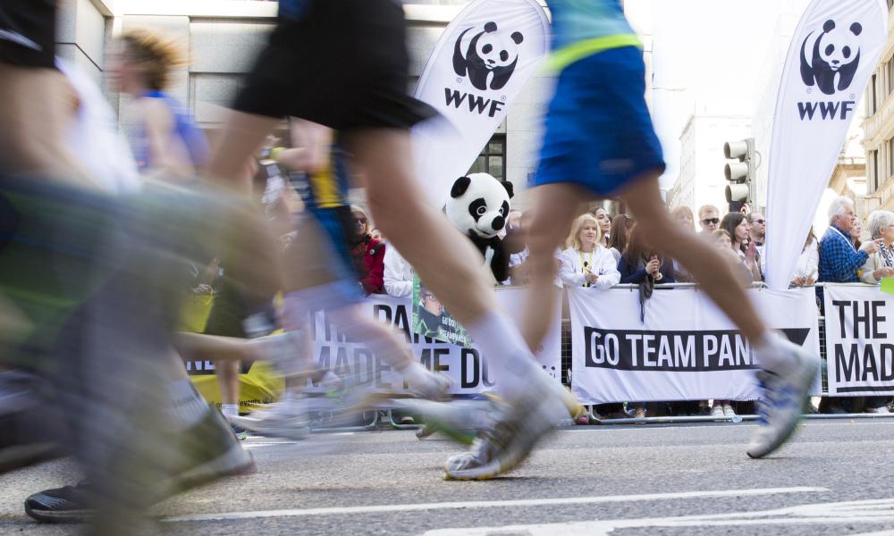 WWF events training hub | WWF