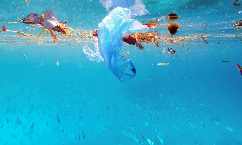 World Oceans Day: plastics and climate change | WWF