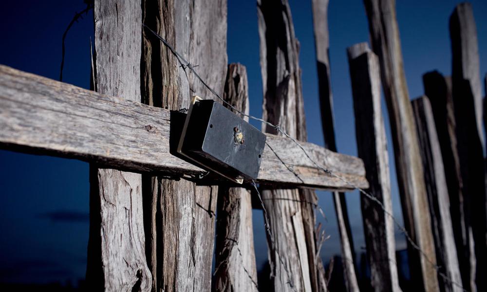 Learn about predator deterrent lights | WWF