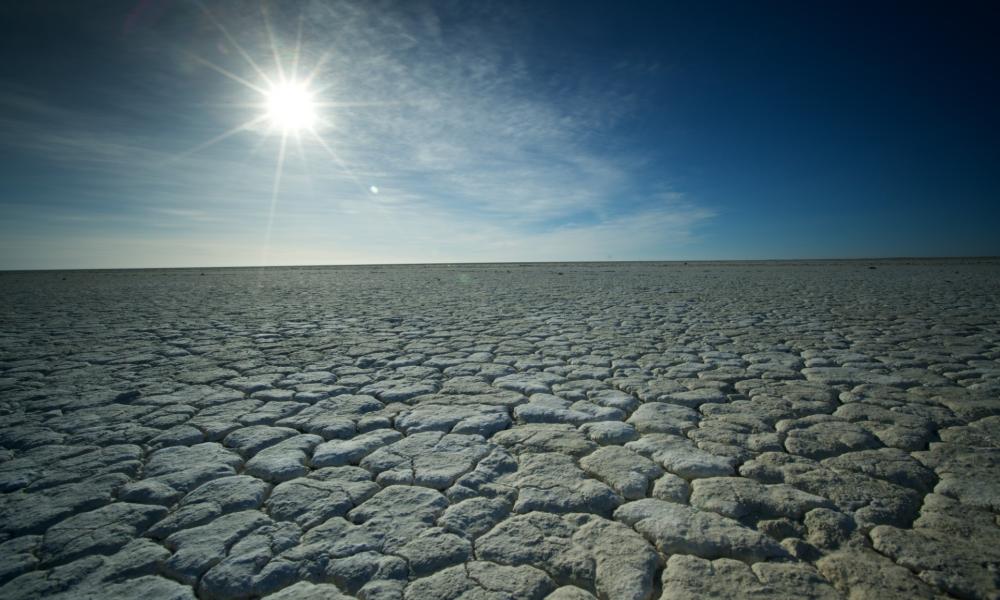 Climate change resources for schools | WWF