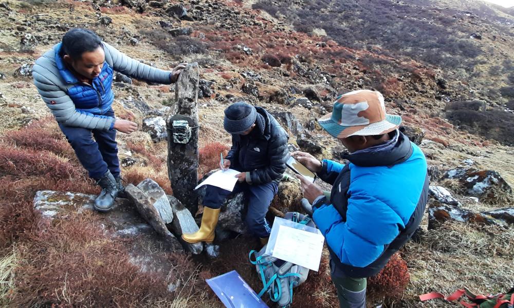 What we have achieved so far in 2021 | WWF