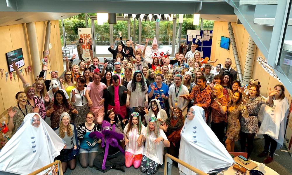 Improving employee engagement with WWF | WWF