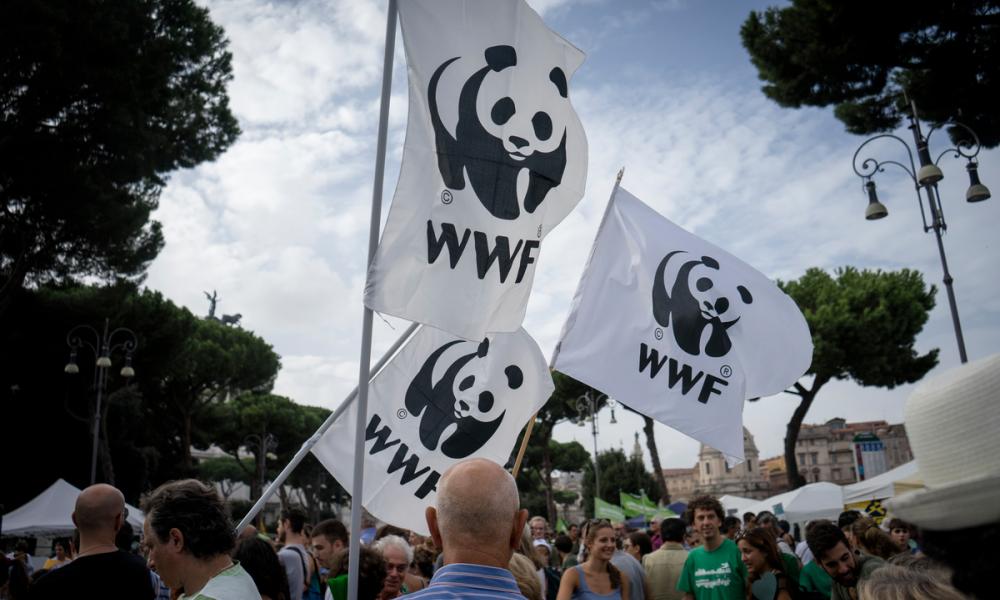How we can fight climate change | WWF