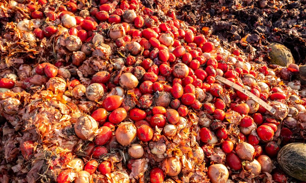 Food waste on farms | WWF