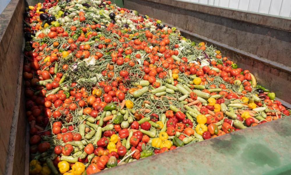 WWF Basket: Food Waste | WWF