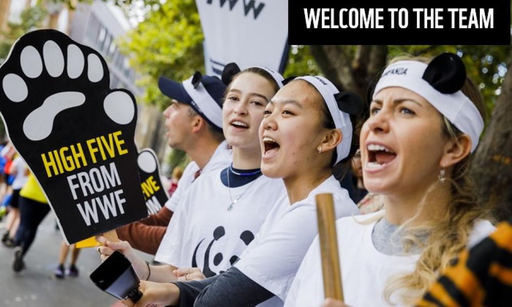 Will you volunteer for us at an event? | WWF