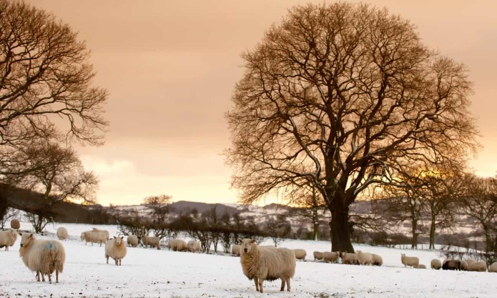 Seasons in Nature | WWF