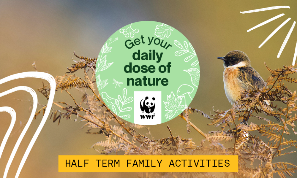 Inspiring young people to take action | WWF