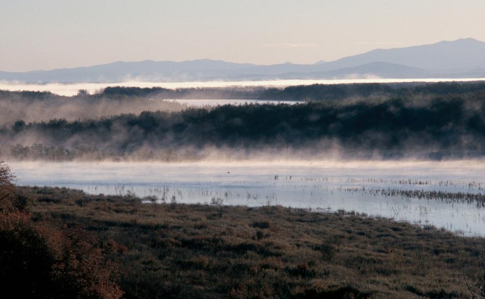 Amur (Heilong) River Basin | WWF