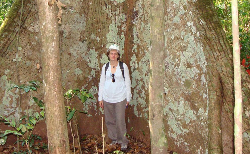 The Amazon Rainforest | WWF