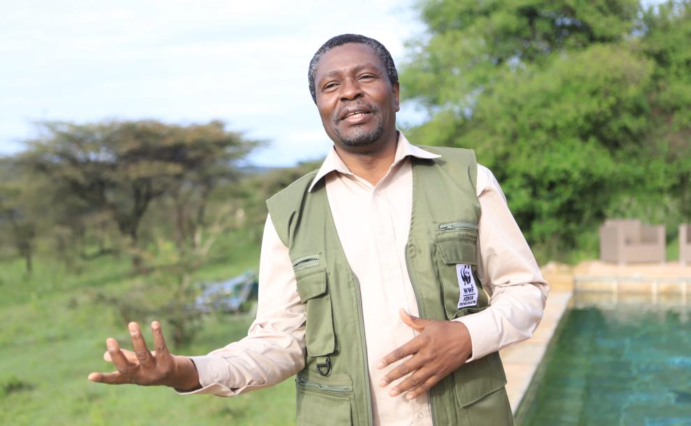 African elephant: strong, smart, but vulnerable | WWF