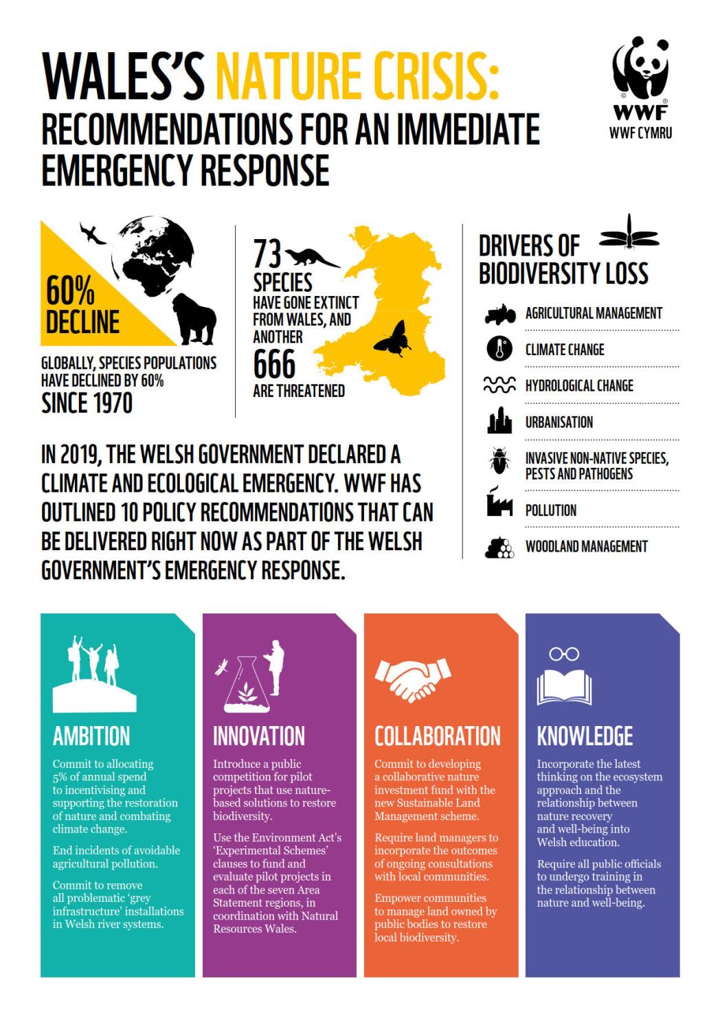 Recommendations for a response to Wales's nature crisis | WWF