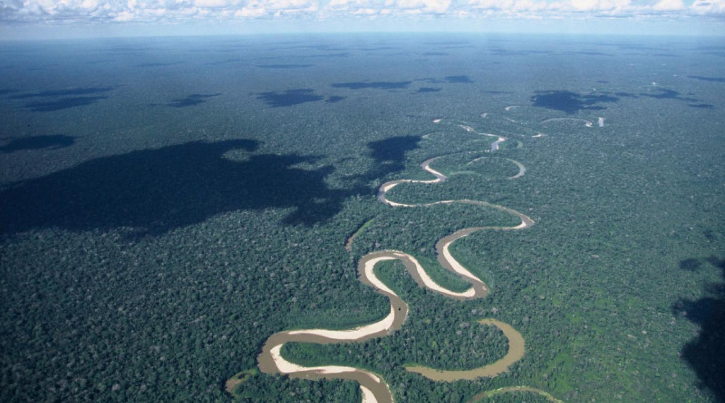 Here are our top facts about the Amazon | WWF